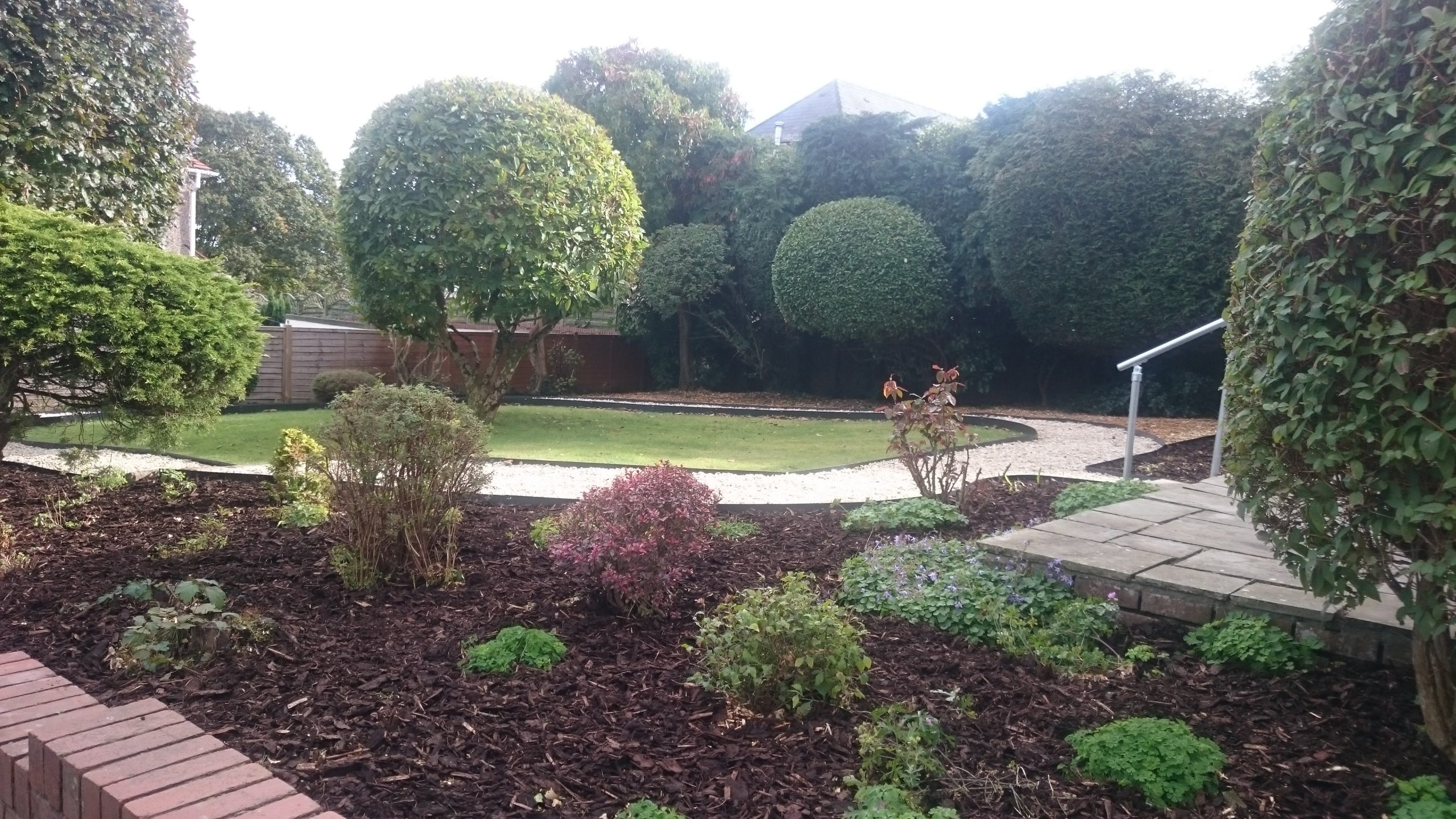 Small scale garden landscaping - Branching Out