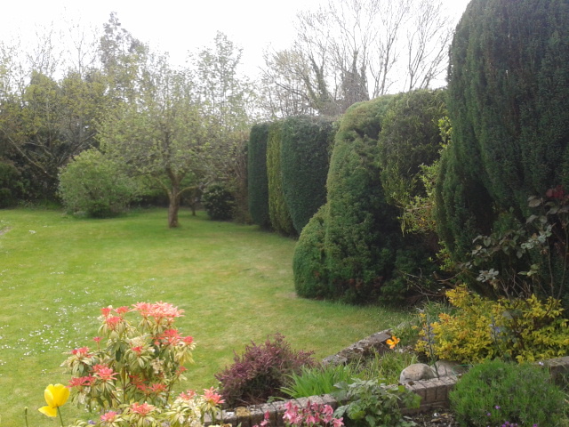 Projects - Branching Out